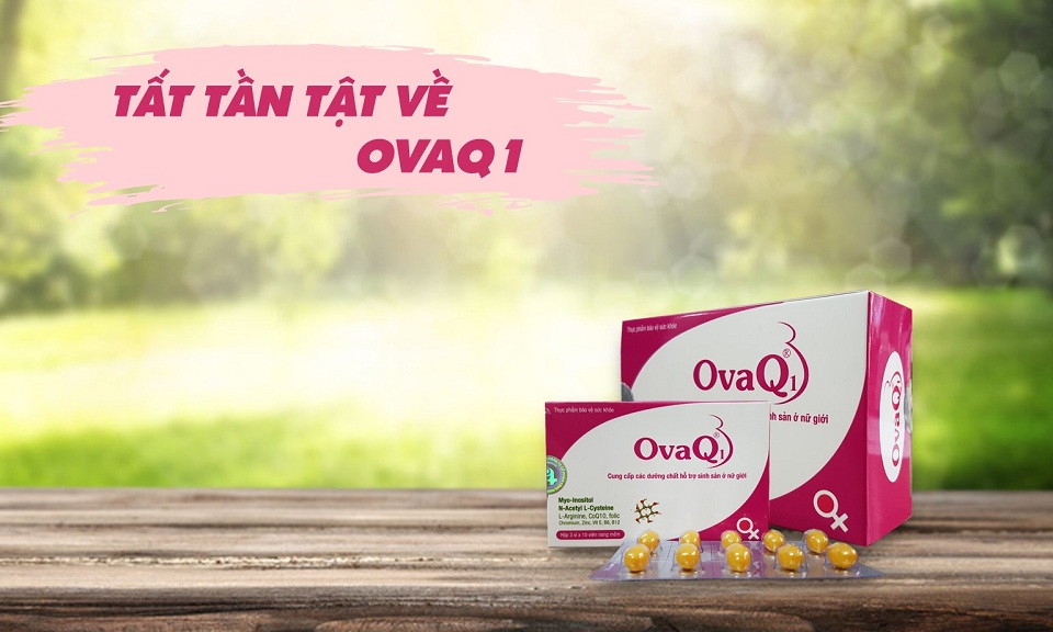 Review: Thuốc OvaQ1 Có Tốt Không? Giá Bao Nhiêu? Có Tác Dụng Phụ Không?